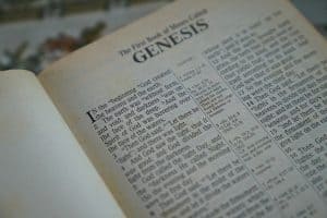 Summary Of Genesis – The Bible Brief